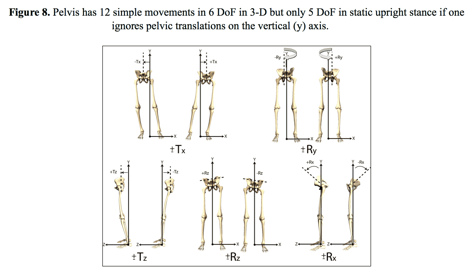 Clinical Biomechanics of Posture — Chapter 1: Evidence for CBP ...